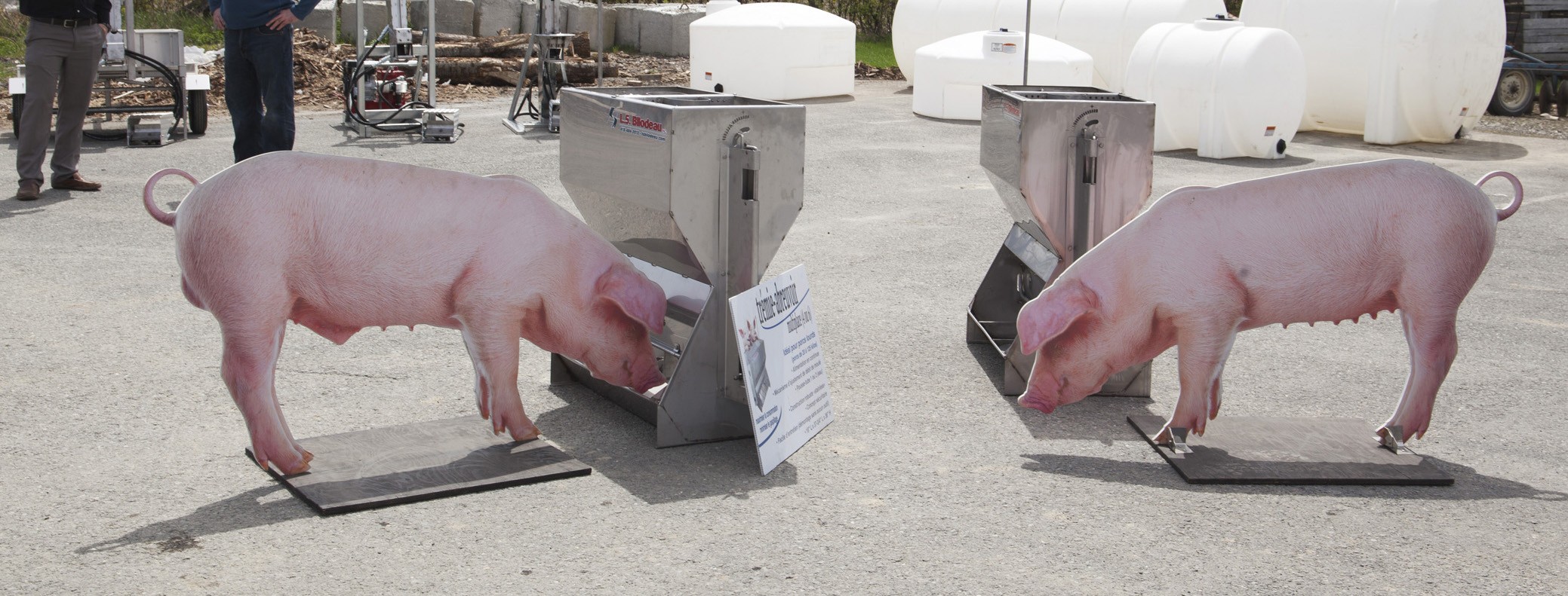 Wet-dry Feeders for pigs | LS Bilodeau